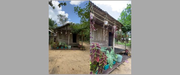 Dari luar mirip gubuk usang di tengah hutan, 9 potret rumah kayu ini ...