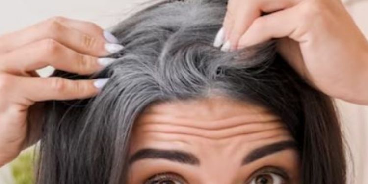 10 Resep kreasi pakcoy ini super simpel, lezat dan bikin nagih