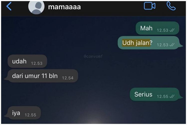 11 Jawaban kocak emak-emak saat ditanya anaknya di chat ini bikin tepuk jidat, ada aja gebrakannya
