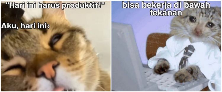 11 Meme lucu ajakan produktif ini menghibur sekaligus bikin semangat ...