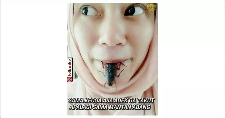 12 Meme 'takut kecoak' ini bikin kamu nyengar-nyengir sendiri!