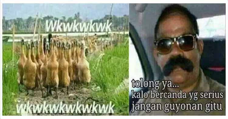 15 Meme 'gak jelas' ini bakal bikin kamu ketawa garing