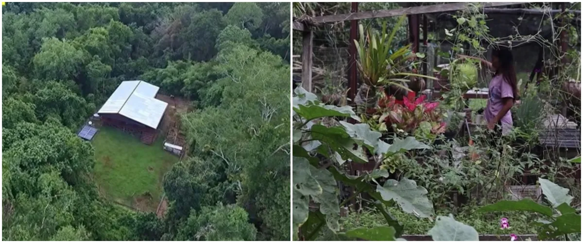 11 Potret kebun rumah hutan keluarga Andrew Kalaweit, tiap hari panen