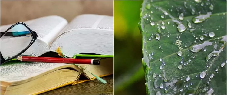 45 Contoh kata perumpamaan, lengkap dengan penjelasan dan cirinya yang ...