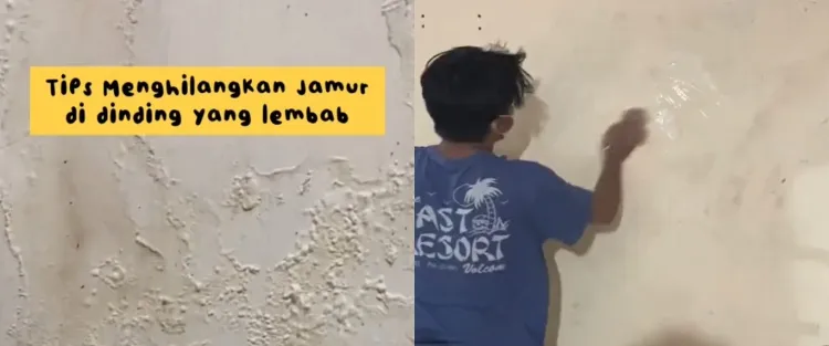 Tak perlu dibongkar, ini trik hilangkan jamur pada tembok pakai ...